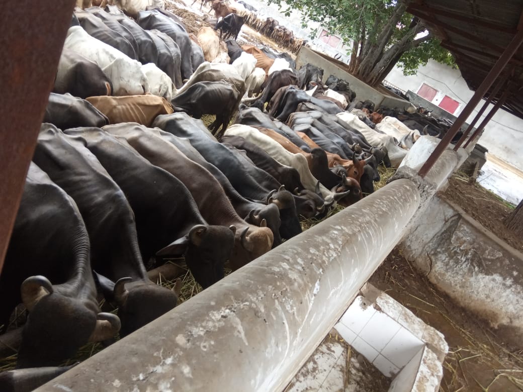 Jagat Dhalgara’s Memorial Fund « Jain Center of Minnesota