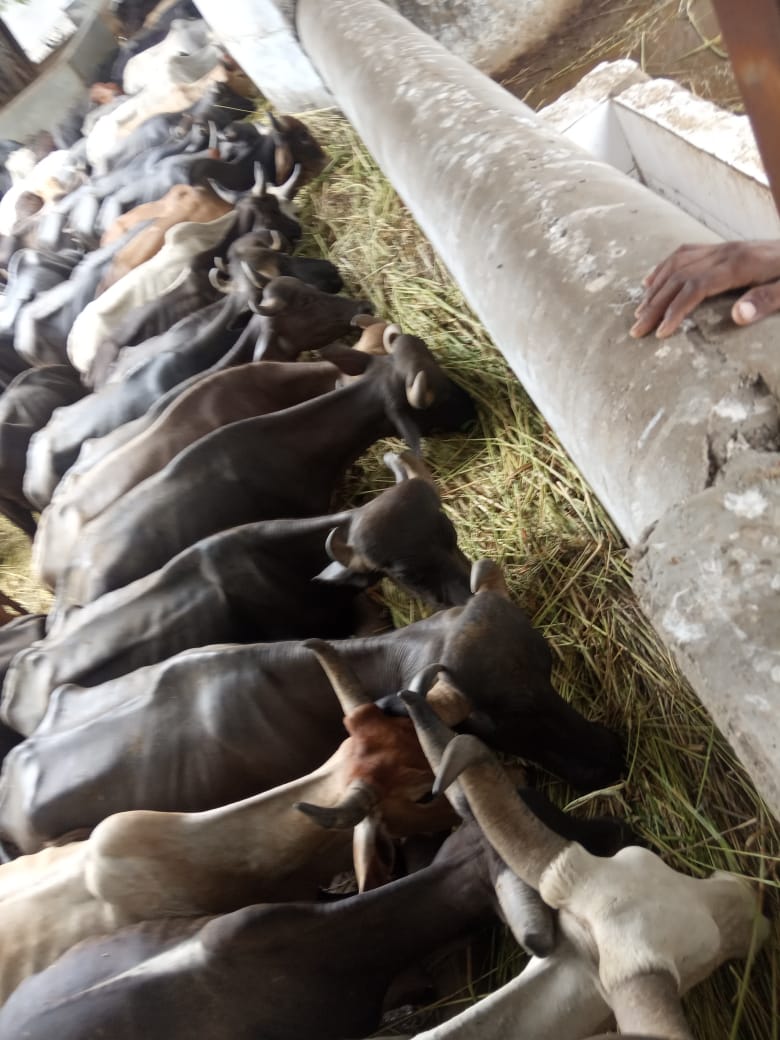 Jagat Dhalgara’s Memorial Fund « Jain Center of Minnesota